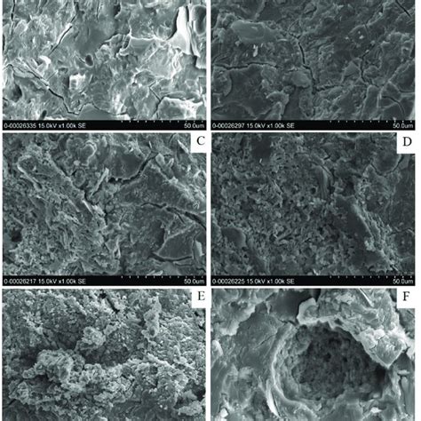 Fe Sem Photomicrographs Of Mk Based Geopolymer Containing Different