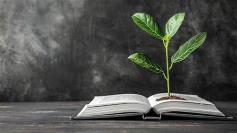 Book With Sprouting Plant Symbolizing Growth And Learning As Metaphor
