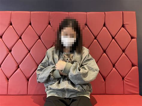 창원 2022 0054 코리안숏헤어 하치 책임분양 티컵말티푸분양하는곳 티컵푸들분양하는곳 티컵강아지분양하는곳 화이트비숑프리제분양 화이트포메라니안분양 화이트말티즈분양 화이트