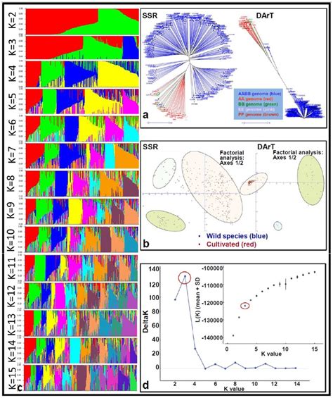 This Figure Shows A Grouping Of Genotypes Based On Ssr And Dart