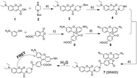 Sr400 Synthesis A Dcc Dmap 12 H 85 B Tfa Ch2cl2 1 1 V V Download Scientific