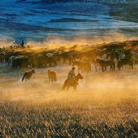 Багадаа морь малын дунд өссөн учраас ийм зураг харах сайхан байдаг юм аа Bayarsaikhan Sandagdorj