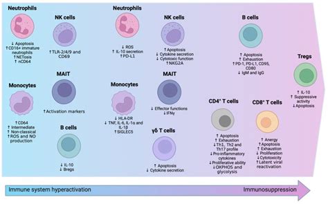 Advances And Challenges In Sepsis Management Modern Tools And Future