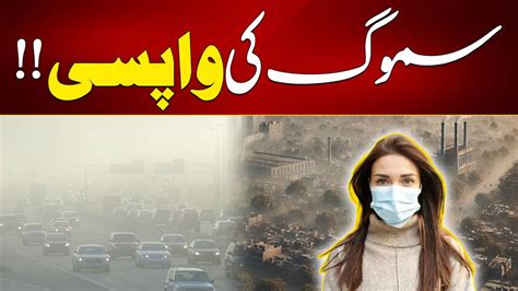 Smog In South Punjab Breaking News Rohi Youtube