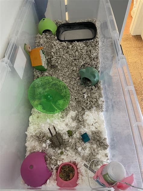 Bin Cage Ideas For A Campbells All The Inspo Cages Are So Elaborate Its Hard To Know Where To
