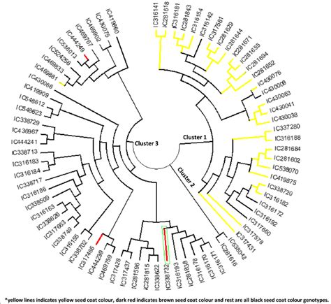 Nj Tree Of 75 Soybean Genotypes Based On Ssr Markers Download Scientific Diagram