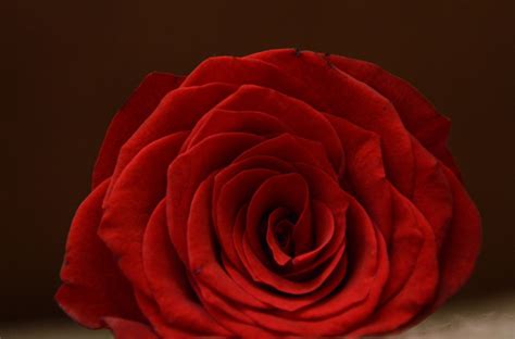 Student Pocket Guide Uk Student Magazine The Ultimate Sexy Playlist