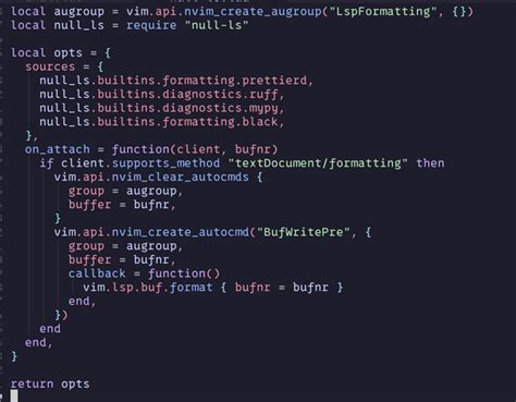 Setting Up Nvim For Both Python And Js How To Use Ruff Mypy And Black When Im Working In A