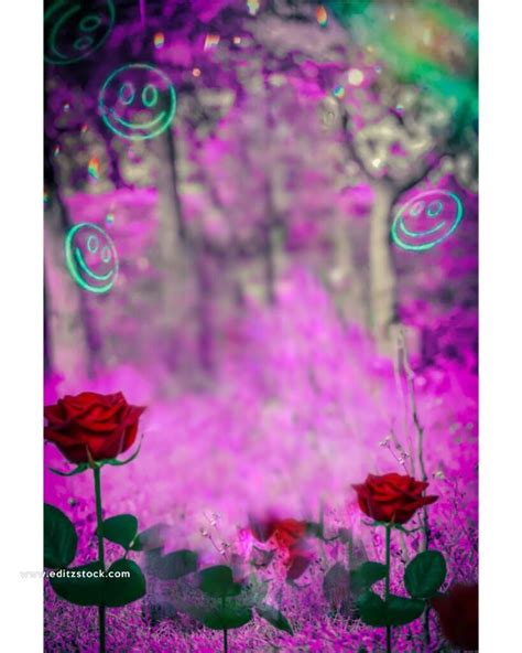 Rose Cb Background For Editing