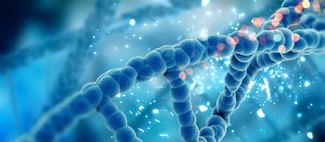 福建福大百特科技发展有限公司 饲料用酶 食品用酶 功能糖