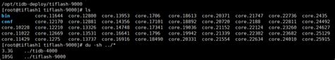 got lots of core dump files in the deploy directory of tiflash · issue 22184 · pingcap tidb