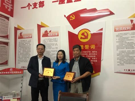 党建工作丨联合会党支部获得“五化达标党支部”和“示范标杆党支部”两项殊荣 株洲社会组织网