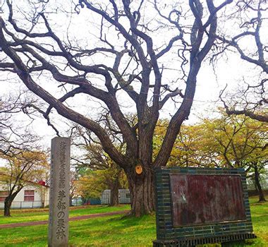 青葉丘公園日本自由行 竹企旅遊