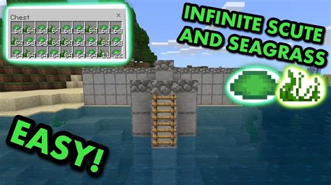 Simple 1 21 Turtle Scute Farm Tutorial In Minecraft Bedrock Mcpe Xbox