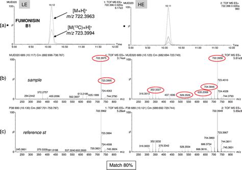 target and non target screening strategies for organic contaminants residues and illicit