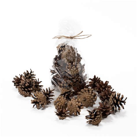 Шишарки от бял бор 100 гр 1кг Fiona