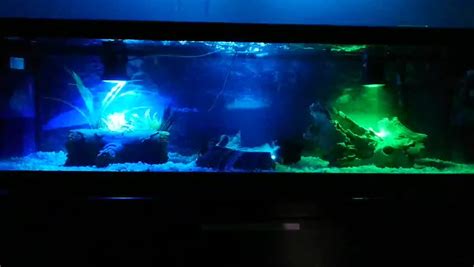 Suhel Miah On Linkedin Club 45 Days