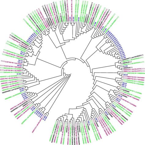 Crispr Array Identified In Different Bacterial Isolates Download Scientific Diagram