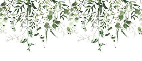 수채화는 흰색 배경에 녹지 이음새가 없는 프레임을 그렸습니다 녹색 야생 식물 가지 나뭇잎 및 나뭇 가지 0명에 대한 스톡 벡터 아트 및 기타 이미지 Istock