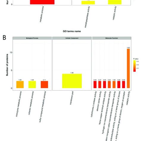 The Functional Enrichment Of Gene Ontology Go Annotation Of The