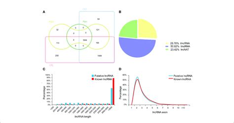 The Identification Of Long Non Coding Rnas Lncrnas In Chicken Download Scientific Diagram