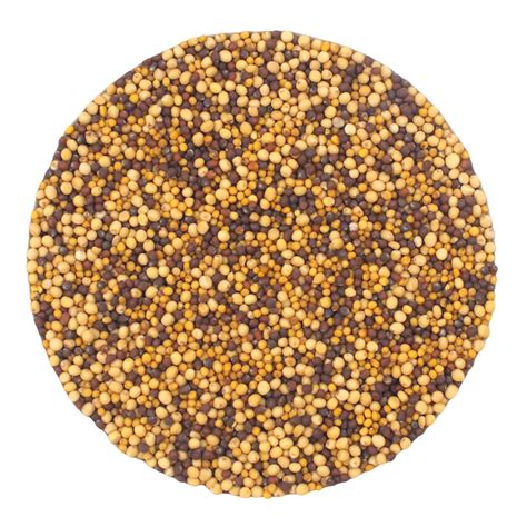 Peppermintman Bunter Senf Bio 250 G Shop Apotheke