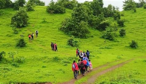 Best Medical Coding Institutes In Hyderabad