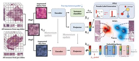 [paper review] rethinking multiple instance learning for whole slide image classification a
