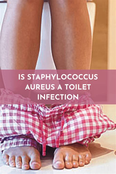 Is Staphylococcus Aureus A Toilet Infection