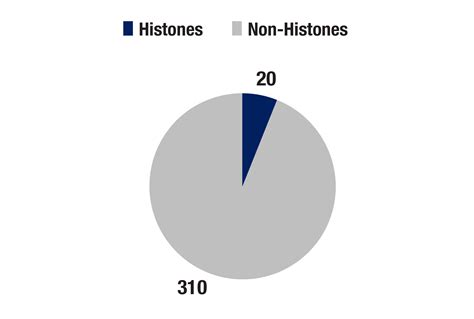 Ptmscan® Mono Methyl Lysine Motif Mme K Kit Cell Signaling Technology