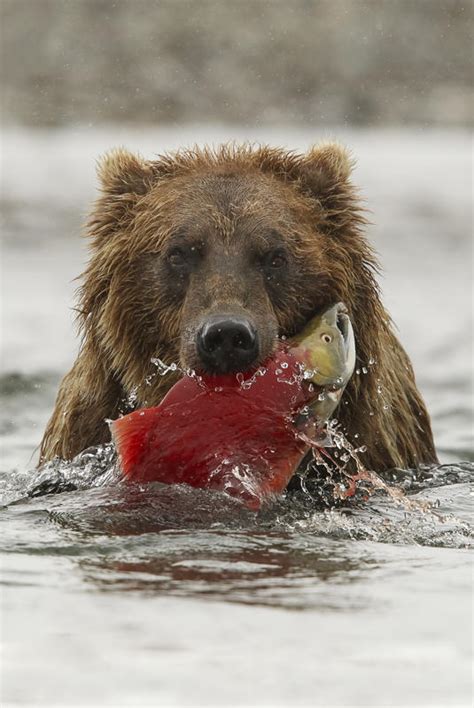 Wilderness Forever 50 Years Of Protecting Americas Wild Places Photo Exhibition Ahmad Ali