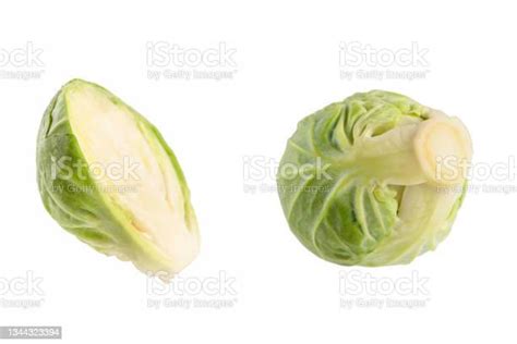 흰색 배경에 신선한 녹색 브뤼셀 콩나물 반으로 자른 브뤼셀 콩나물은 흰색 분리에 그림자를 캐스팅 개체 그룹에 대한 스톡 사진 및 기타 이미지 Istock