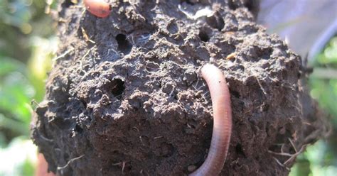 Farm Progress On Linkedin Define Soil Health Farm Progress On Linkedin Define Soil Health