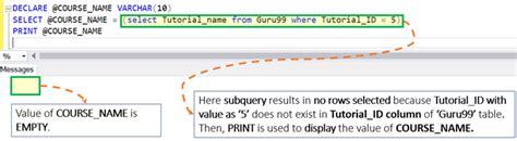 Variables Sql Sql Server Déclare Définit Et Sélectionne Une Variable