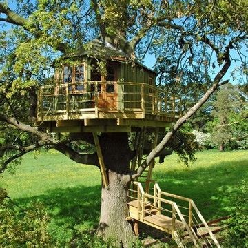 Adult Treehouse Photos Ideas Houzz