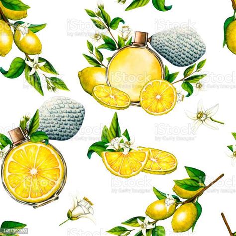 수채화 원활한 패턴 레몬 흰색 꽃 나뭇가지 슬라이스 및 꽃 향수병 손으로 그린 노란 감귤류 과일의 식물 그림 흰색 바탕에 아로마 스프레이 0명에 대한 스톡 벡터 아트 및