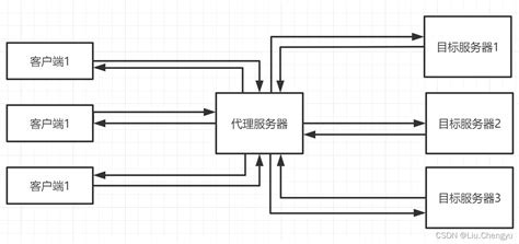关于nginx服务器的一些粗略认识 nginx agent csdn博客