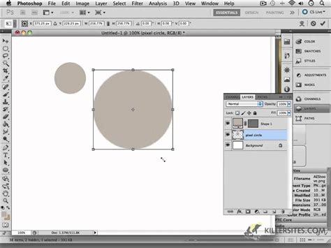 Photoshop CS Intro To Vector Tools YouTube