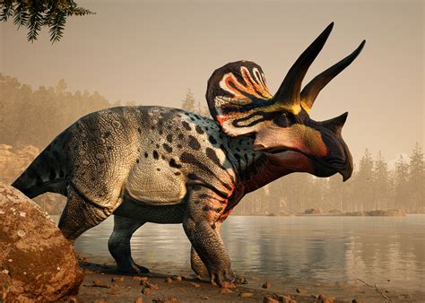 Eotriceratops Xerinsularis