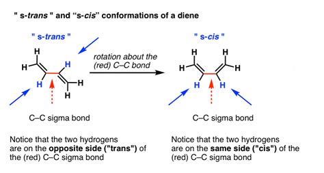 S Cis And S Trans Master Organic Chemistry