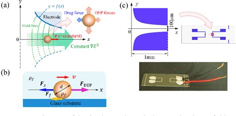 Figure 1 From Analysis Of Cell Dielectrophoretic Properties Using Isomotive Creek Gap Electrode
