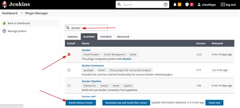 How To Deploy Application On Aws Ecr Using Jenkins Cloudlaya Blog