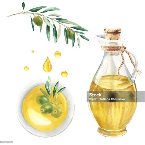올리브 오일 유리 주전자 기름 방울 올리브 열매 및 기름 그릇에 가지를 올려 놓았다 흰색 바탕에 손으로 그린 수채화 그림 메뉴 제품 및 이탈리아 요리 그리스 요리 스페인
