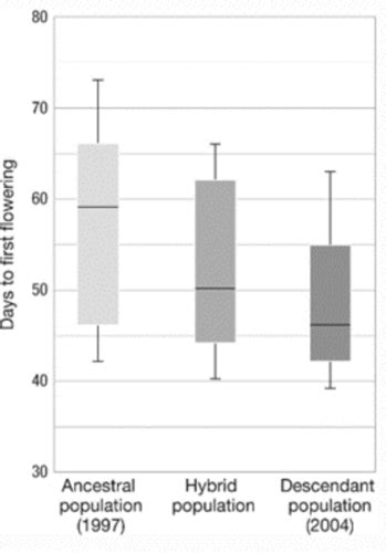 Biol3306 Exam 3 Multiple Choice Questions Flashcards Quizlet
