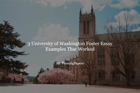 3 University Of Washington Foster Essay Examples That Worked