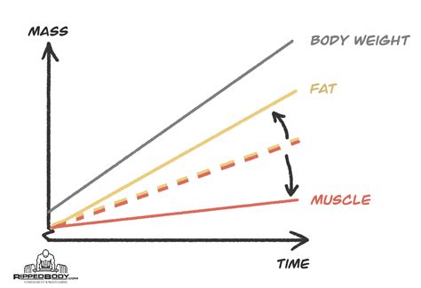 How To Bulk Up Without Getting Fat The Skinny Guys Guide To Bulking