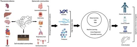 The Application Of Ai In High Throughput Microbiome Data Processing In Download Scientific