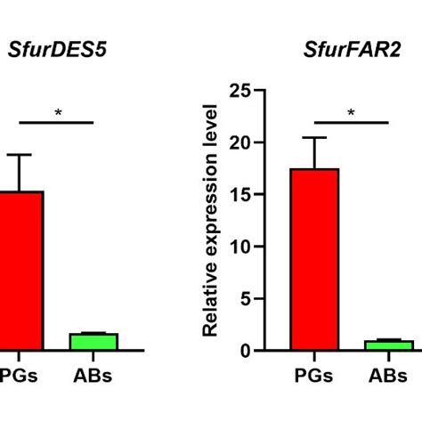 Phylogenetic Tree Of Insect Fatty Acid Reductase Far The S Download Scientific Diagram