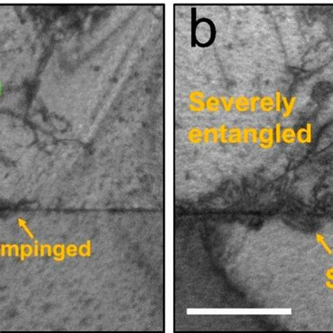 A Dislocation Entanglement In The Sample Following Further