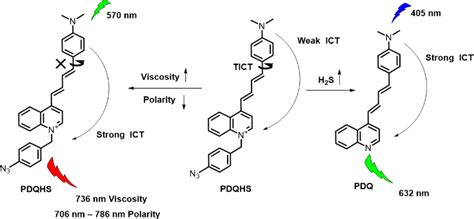 A Multi Functional Near Infrared Fluorescence Probe For Visualization Of H2s And Viscosity